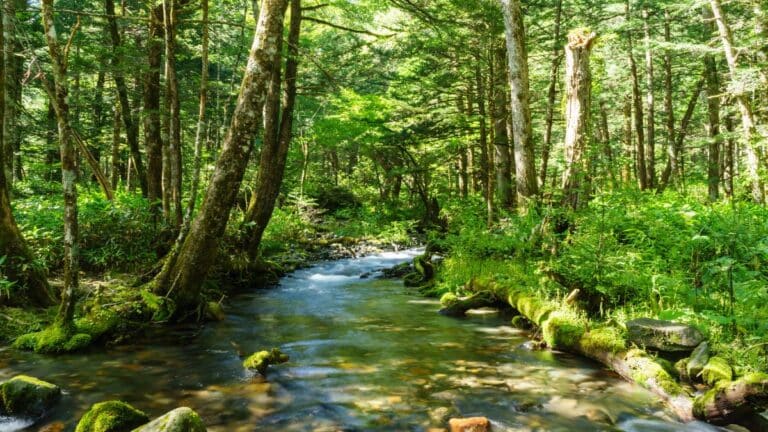 Liquid Syllabus – OneHE